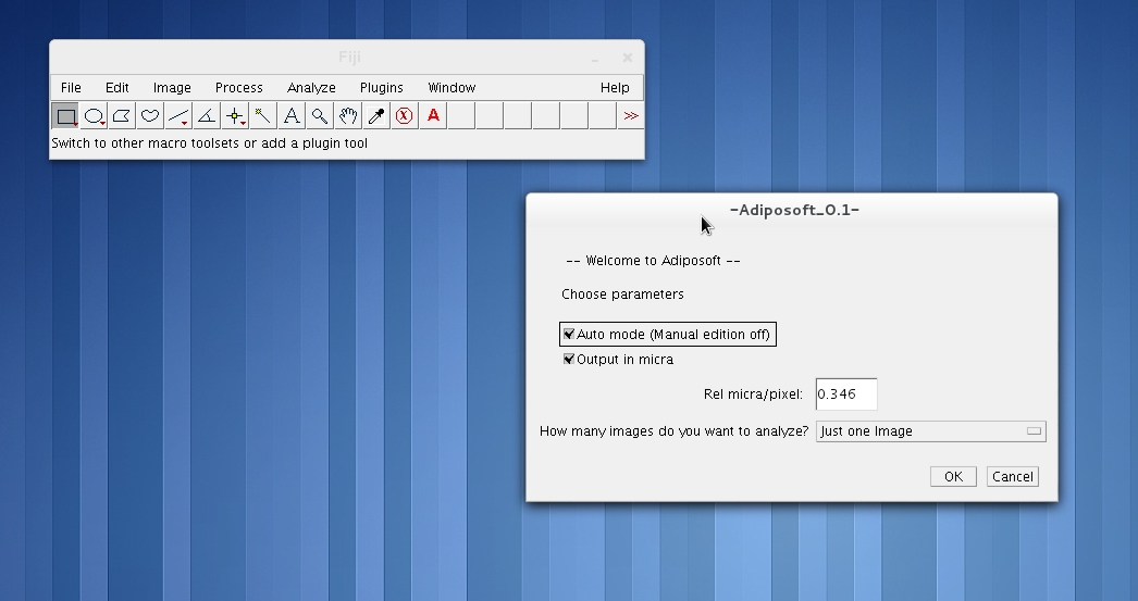 Adiposoft ImageJ